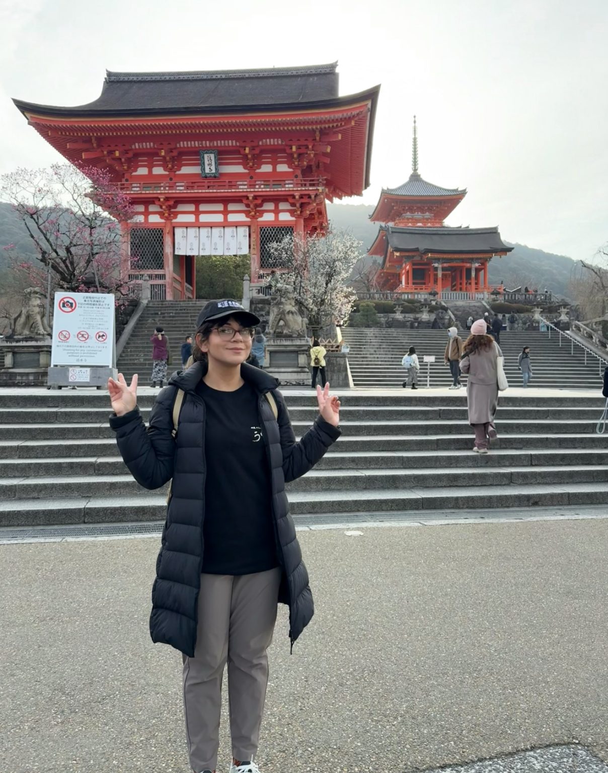 INFO 287 Reflection Blog: Hyperlinked Communities – Hyperlinked Reflections